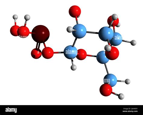 Structural Formula Of Glycogen