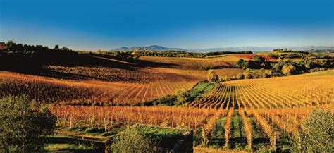 Wine And Degustation Giorgio Rivetti