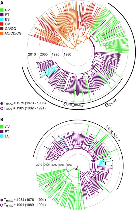 Time Scaled Bayesian Mcc Tree Of Hiv 1 Subtype G Pol Prrt Sequences Download Scientific