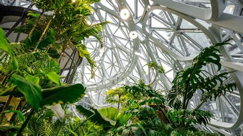 Plant Filled Spheres Open At Amazon Headquarters In Seattle