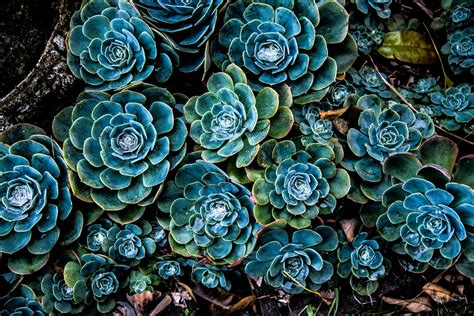 Crisp Ml Q A Methodical Approach To Quality Assurance And Machine Learning Development By