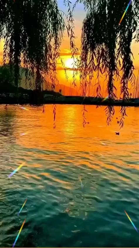 Чудесного вечера Пейзажи Живописные пейзажи Картины пейзажа