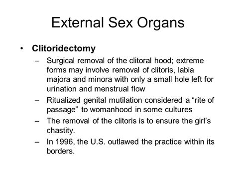 Female Anatomy And Physiology Ppt Video Online Download