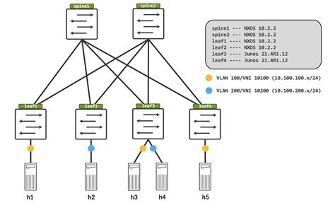 Evpn The Ascii Construct