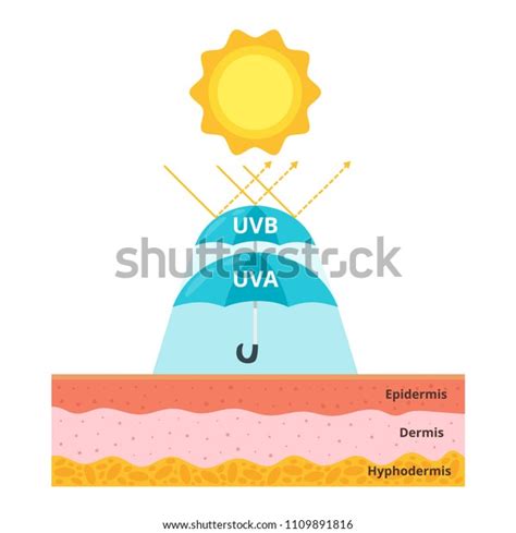 Vector Cartoon Style Illustration Uvb Uva Stock Vector Royalty Free