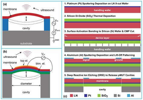 piezoelectric micromachined ultrasound transducer technology recent advances and applications