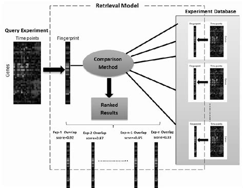figure 1 from inferring similarity between time series microarrays a