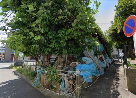 一戸建ては虫が多いのでしょうか。中古の一戸建てを購入したのですが、蚊が多くて、 Yahoo 知恵袋