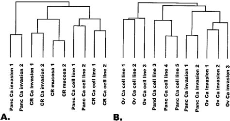 relationships among samples shown by clustering of gene expression a