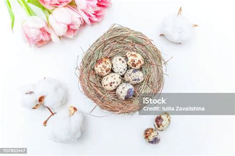 소박한 흰색 나무 바탕에 둥지 면과 분홍색 신선한 튤립 꽃다발에 부활절 달걀 3월에 대한 스톡 사진 및 기타 이미지 3월 4월 개념 Istock