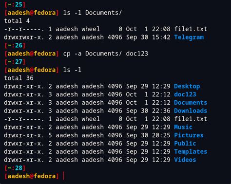 How To Preserve File Permissions And Ownership While Copying Files On