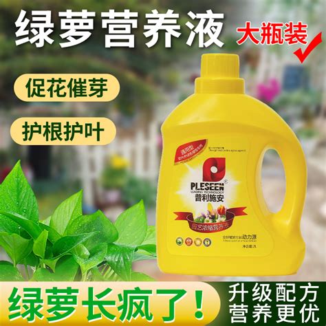 绿萝营养液 绿植 第12页 大山谷图库