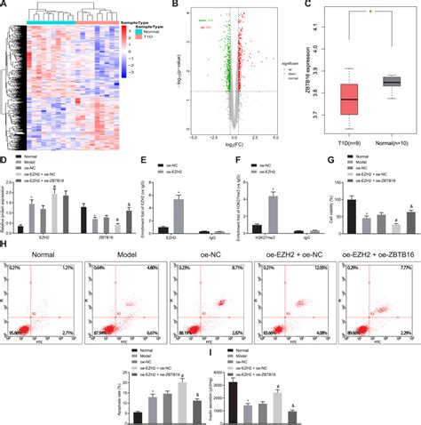 Suppressive Role Of E3 Ubiquitin Ligase Fbw7 In Type I Diabetes In Non