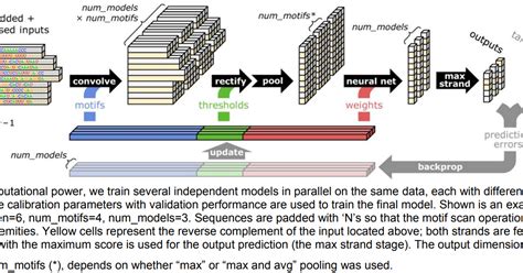 Sciency Stuff Motif Discovery For Dna And Rna Binding Proteins By