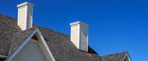 Chimney Cleaning Flue Cleaning