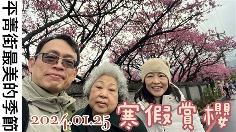 20240125 平菁街最美的季節 寒假賞櫻 Youtube