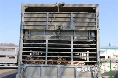 초록 돼지 운송 차량과 운전자에 대한 도축장에서의 세척 및 소독 과정에 대한 고찰