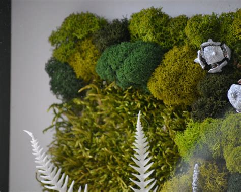 Стабилизированный мох в интерьере (140 фото) - фото - картинки и ...