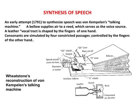 PPT SPEECH PRODUCTION RECOGNITION ANALYSIS AND SYNTHESIS PowerPoint Presentation ID