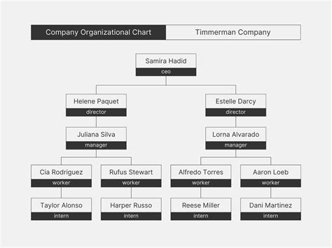 Organizational Structure Chart Template