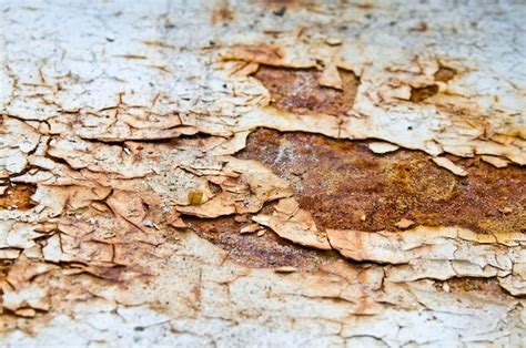Premium Photo Abstract Background With Rust Texture