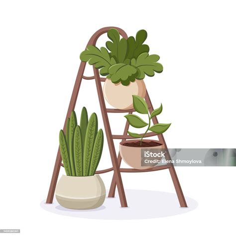 나무 사다리에 최소한의 냄비에 가정 식물 가정 장식과 정원 개념 제품 디자인과 장식을 위한 귀여운 고립된 벡터 삽화 산세비에리아 0명에 대한 스톡 벡터 아트 및 기타 이미지