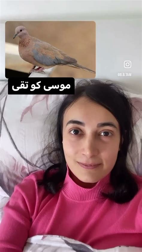 داستان موسی‌کو‌تقی 😂😂😂 Youtube