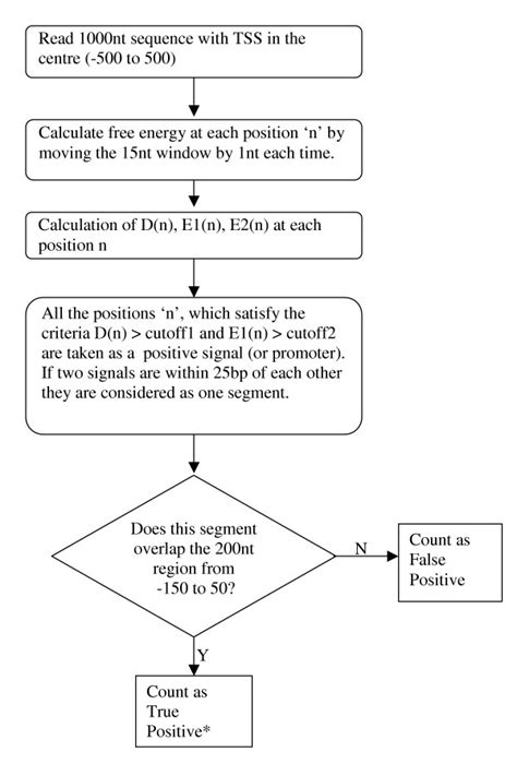 A Flowchart Summarizing Our Methodology If There Are More Than One Download Scientific