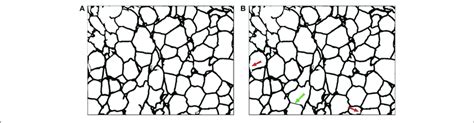 Manual Correction Of Segmentation Result A The Segmentation Result