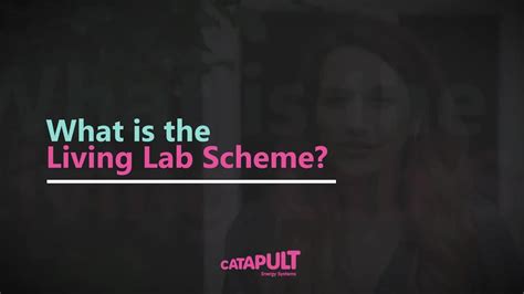 Tim German On Linkedin Checkout The Presentation Below In My 23 Years Working In This Field I…