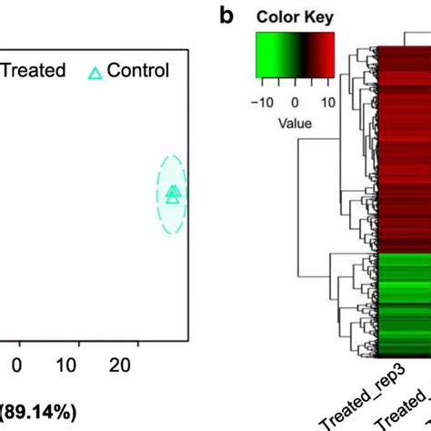 Wenwu Wu Professor Doctor Zhejiang Aandf University Zafu School Of Foresty And Bio