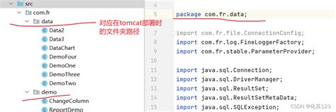 Java程序配合帆软，显示数据库的数据java帆软 Csdn博客