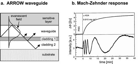 A Cross Section And Schematic Of An ARROW Waveguide Core And Download Scientific Diagram