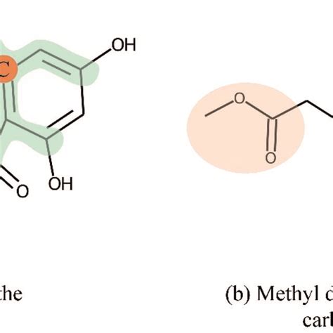 Both Global And Local Structure Information Is Important For Gnn A Download Scientific