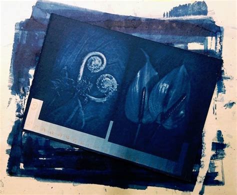 青写真を描く「青写真」ってなに？ サイアノタイプ Cyanotype 東京オルタナ写真部 Tokyo Alternative