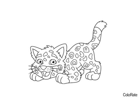 Раскраски Леопард распечатать бесплатно | ColoRate