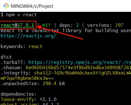 React Check Version From Command Line Dirask