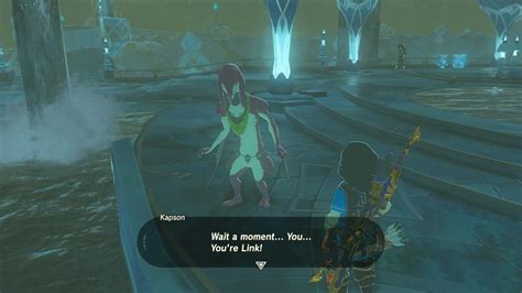 Zora Who Remember Link In Botw R Tearsofthekingdom