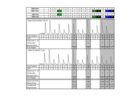 The Same Ndo Can Generate Unique Pyrogram From Drb1030101 130101 Vs Download Scientific