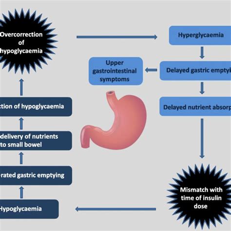 The Bidirectional Relationship Between Acute Glycaemic Environment And Download Scientific