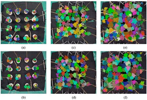Cucumber Leaf Segmentation Based On Bilayer Convolutional Network