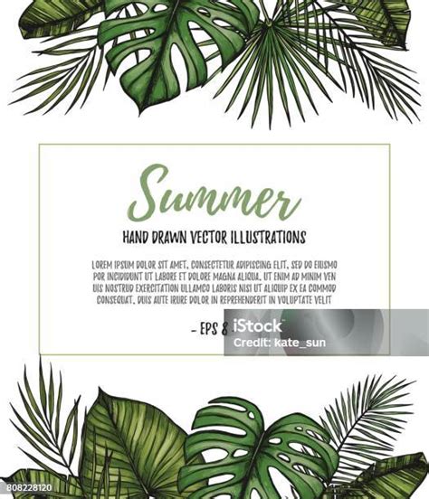 여름 열 대 엽서 서식 파일입니다 팜 프레임 잎 손으로 그린 벡터 일러스트 레이 션 인쇄 포스터 초대장 섬유 등 포장에 대 한 완벽 한 몬스테라속에 대한 스톡 벡터 아트 및