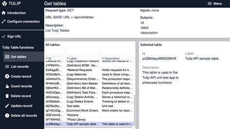 tulip api unit test