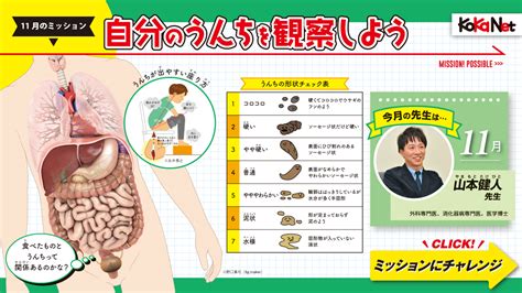 11月のミッション自分のうんちを観察しよう科学ミッションカレンダー2023コカネット