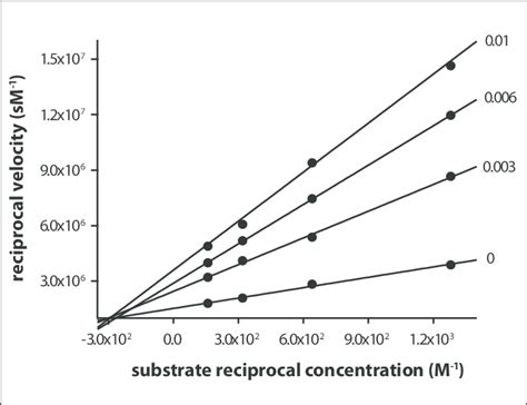 Double Reciprocal Plot For Human Erythrocytes Ache Acetylthiocholine