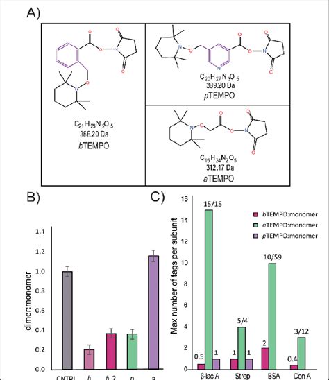 Characterization Of Protein Labelling Efficiency With Different Download Scientific Diagram