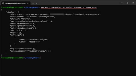 Ecs Anywhere Run Aws Containers On Your Home Server On Premises Virtualization Howto