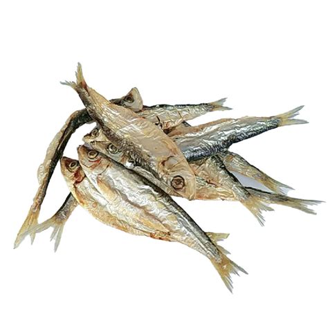 قیمت و خرید تشویقی سگ و گربه فیلی مال مدل ماهی کیلیکا وزن 70 گرم