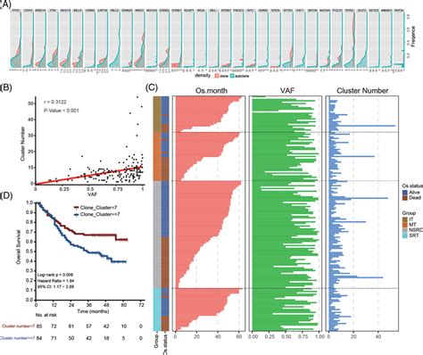Correlation Analysis Of Clone Number Stratification And Prognosis A