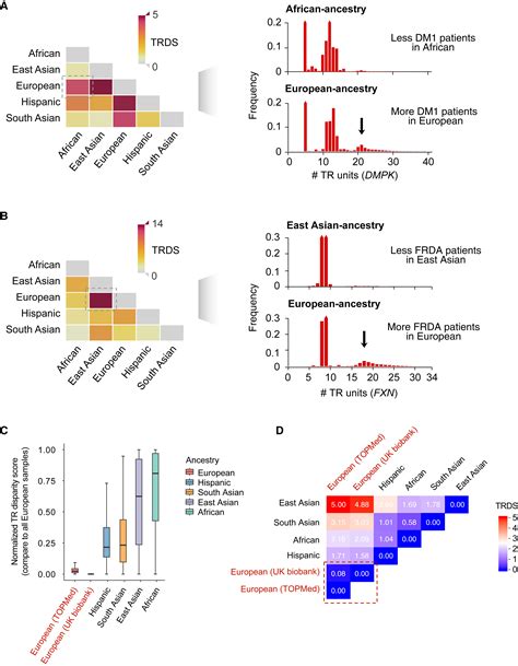 A Genome Wide Spectrum Of Tandem Repeat Expansions In 338963 Humans Cell